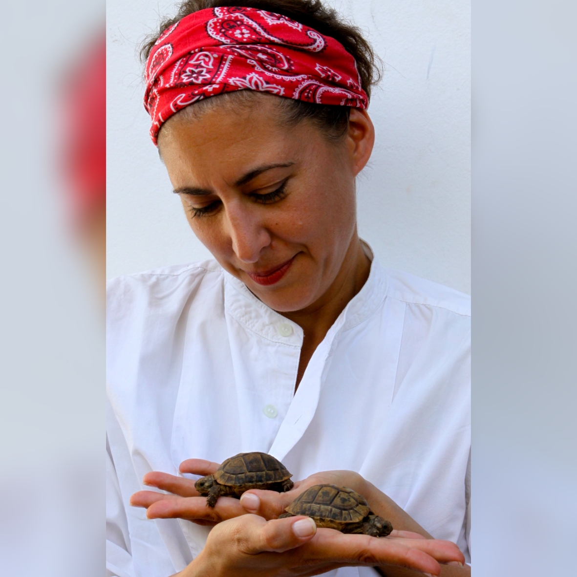 Safia Shah – Kashfi's Children